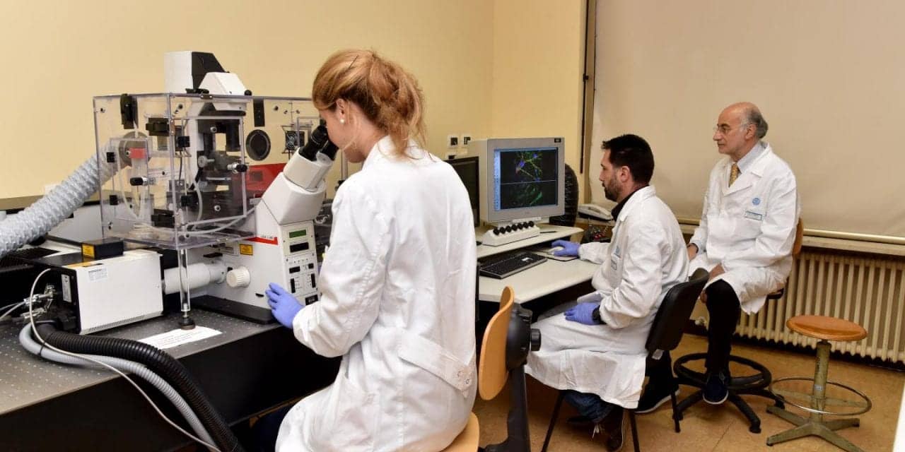 In Mice, Transcranial Direct Current Stimulation Boosts Memory | Sleep ... In Mice, Transcranial Direct Current Stimulation Boosts Memory | Sleep ...